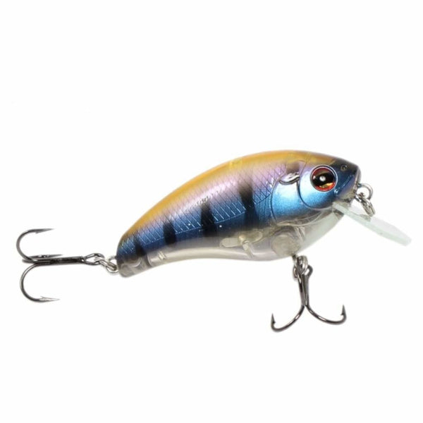 Big Catch Fishing Tackle - Zombie Lures Z’Coffin